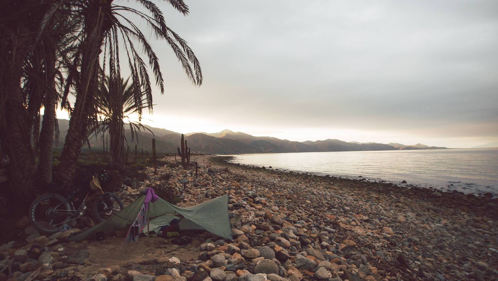 Joanie Mountain Bike World Traveler – Club Ride Apparel